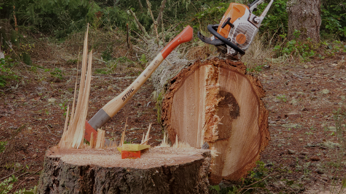 Kitsap County Tree Experts - Alpha Tree Services