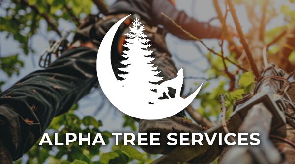 Alpha Tree Service - Our Tree Services Videos